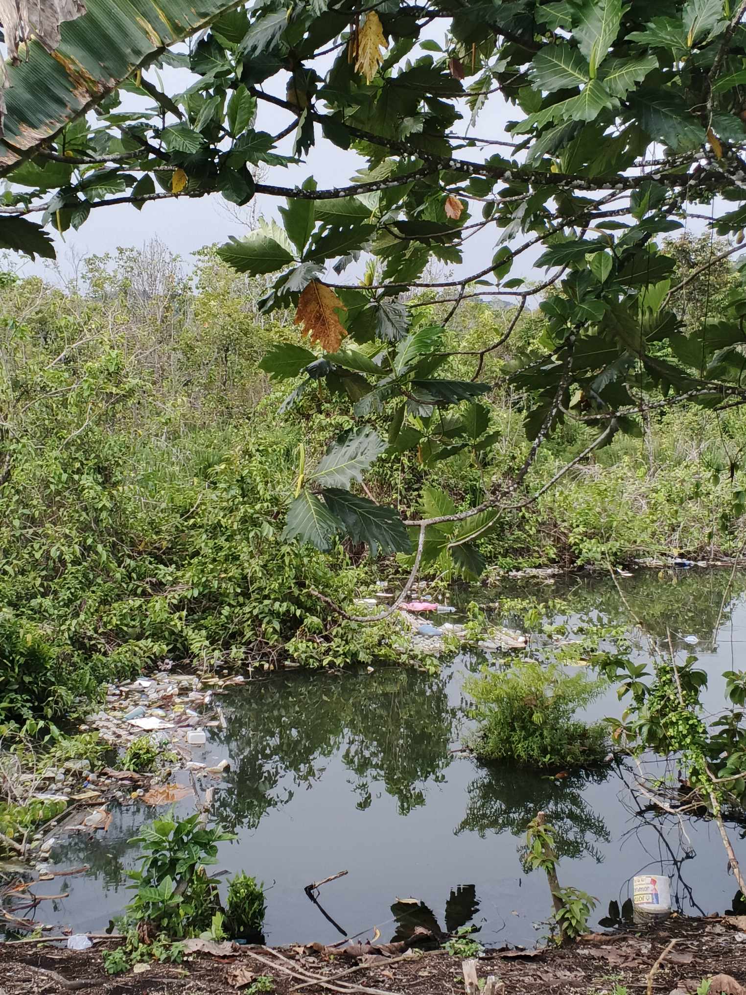 Imanuel Tahrin: Jangan Buang Sampah Sembarang di Kepala Air Danau ...